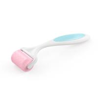 China Waterproof ABS Stainless Steel Face Ice Roller for Wrinkle Remover in Beauty Salon for sale