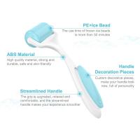 China Waterproof ABS Stainless Steel Face Ice Roller for Wrinkle Remover in Beauty Salon for sale