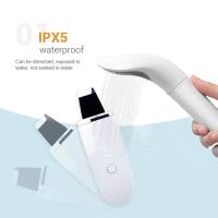 China ABS Stainless Steel Activate Cells Facial Beauty Device with Ultrasonic Technology for sale