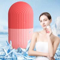 China Customized Color Face Beauty Ice Cube Device for Wrinkle Remover ABS Stainless Steel for sale
