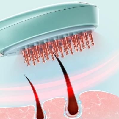 China Professional ABS Electric Laser Hair Growth Comb with 408 g Weight of a Single Set for sale