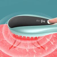 China Professional ABS Electric Laser Hair Growth Comb with 408 g Weight of a Single Set for sale