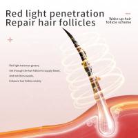 China Scalp Applicator Liquid Comb for Hair Follicle Stimulation 6 Gears and USB Charging for sale