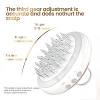 China Plastic Handle EMS Vibratory Scalp Massage Comb for Hair Growth and Laser Hair Treatment for sale