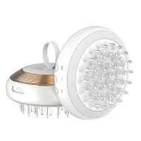 China Customized Color Scalp Massager Comb for Home 2023 Trending EMS Hair Growth Laser Comb for sale