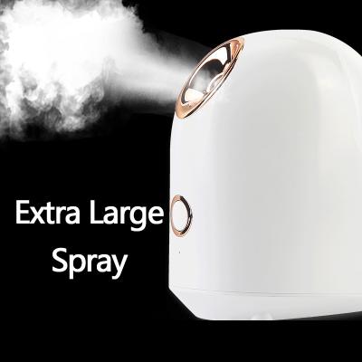 China Professional 3 in 1 Facial Steamer with Mist Steam Function and Hot Steam Generation for sale