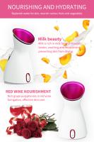 China ABS Facial Steamer Machine for Ionic Operation System and Skin Detoxification for sale