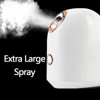 China Get a Salon- Facial with Our Multifunction Face Steamer Generates Hot Steam in Seconds for sale