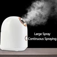China Custom Logo Hot and Cold Nourishing Electric Mini Facial Steamer 15 Minutes Working Time for sale