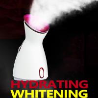 China Customized Gift Box 2023 Newest Skin Steamer Humidifier Handheld Face Steamer for At-Home for sale