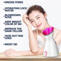 China Customized Gift Box 2023 Newest Skin Steamer Humidifier Handheld Face Steamer for At-Home for sale