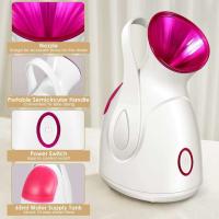 China Rated power 280w 2 in 1 Facial Steamer for Professional Skin Rejuvenation Household for sale