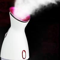 China 100ml Water Tank Capacity Electric Facial Steamer for Skin Rejuvenation and Face Sauna for sale