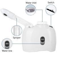 China Professional Spa Facial Steamer with Custom Logo Nourishing Mini Sauna Treatment for sale