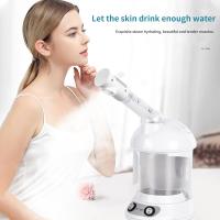 China 2023 Professional Frequency Nano Ionic Face Steamer with Big Capacity and Portability for sale