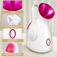China Electric Handheld Face Steamer for Deep Cleansing and Light Facial Treatment 871g for sale