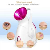 China Electric Handheld Face Steamer for Deep Cleansing and Light Facial Treatment 871g for sale