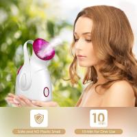 China 2023 Ionic Face Steamer Hot Cold Humidifier Portable Facial Steamer Moisturizer Salon for sale