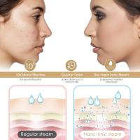 China Hot Cold Facial Steamer Machine for Salon Multifunction Nano Spray Electric Vaporizer for sale