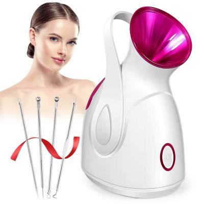 China Electric Multifunction Face and Hair Steamer with Portable Design Gross Weight 871g for sale