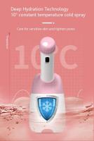China Household Hyperbaric Oxygen Injection Private Label Face Steamer for Facial Care for sale