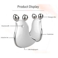China USB Plugs Type Smooth Vibration Massage Face Fit Roller for Optimal Blood Circulation for sale