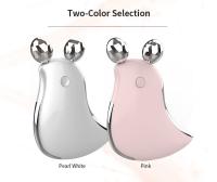 China USB Plugs Type Smooth Vibration Massage Face Fit Roller for Optimal Blood Circulation for sale