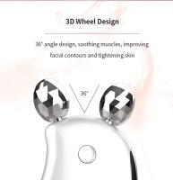 China USB Plugs Type Smooth Vibration Massage Face Fit Roller for Optimal Blood Circulation for sale