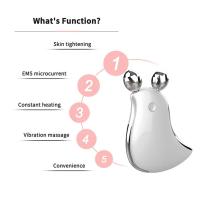 China Electric Microcurrent Facial Roller Massager for Skin Tightening and Neck Massage for sale