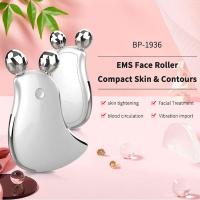 China Electric Microcurrent Facial Roller Massager for Skin Tightening and Neck Massage for sale