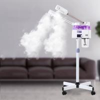 China Lightening 2 in 1 Hot And Cold Face Steamer With 5X Magnifying Lamp For Salon Sauna for sale