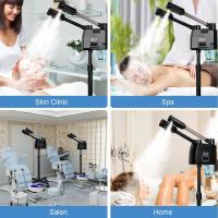 China Moisturizing Nano Handy Mist Spray Facial Steamer for Professional Beauty Clinic Home for sale