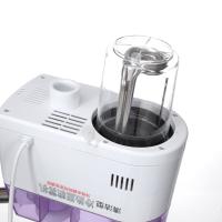 China Professional Nano Technology Hot/Cold Facial Steamer for Lightening and Rejuvenatio for sale