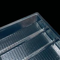 China Clear PET Blister Packaging for Ice Cube Tray Cold Resistant Plastic Box OEM Ice Block for sale