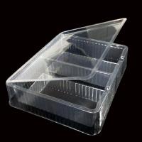 China Customized Clear PET Blister Clamshell Packaging 36 Years Experience in Manufacturing for sale