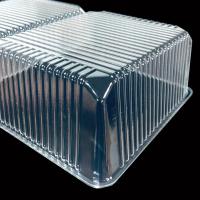 China Custom Disposable Clear Food Grade PET Blister Insert Tray Plastic Boxes For Pastry for sale