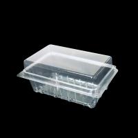 China ISO9001 Customized PET Food Grade Plastic Container Blister Clamshell Packaging for Butter for sale