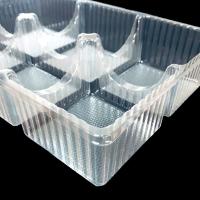 China Customizable Shape Size SH-0123 Cold Resistant PET Blister Tray for Frozen Food Cakes for sale