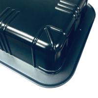 China 39000SQM Production Area Customized Disposable Black PP Blister Tray for Food for sale