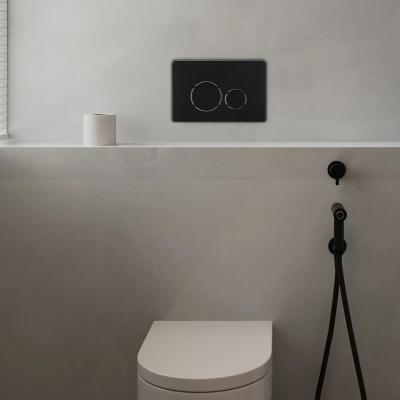 China Standard/Customized Wall Hung Concealed Cistern - Wall Hung Installation close coupled toilet for sale
