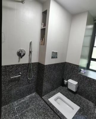 China Rectangular Concealed Dual Flush Cistern With 3/6 L Flush Volume Bathroom Automatic Toilets for sale