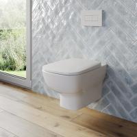 China Standard Wall Hanging Toilet and Customized Wall Hung Concealed Cistern for sale