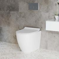 China Adjustable Height Concealed Flush Cistern Dual Flush Concealed Wc Cistern With White Buttons for sale