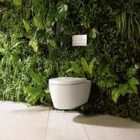 China Cable Flush Mechanism Low Level Concealed Toilet Cistern featuring Plastic Material for sale