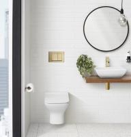 China Plastic Flush Valve Enclosed Toilet Flush System with U-PVC Flush Pipe for sale