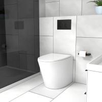 China Standard White Concealed Plastic Toilet Cistern with Easy Installation for sale
