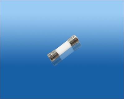 China 3.6x10mm Glass Fuses Axial-leaded Fast-Acting Single Cap Ceramic Tube Fuses for sale