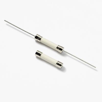 China Nickel Plated Brass Glass Fuses , 6.35 x 32mm 10A Time-Lag Ceramic Body Fuse for sale