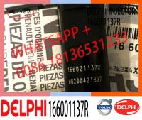China Genuine Delphy CR Inyectores Fuel Injector R03101D R05101D R05102D 28232251 For REN-AULTT SUZUKI 166001137R for sale