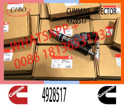China QSM11 ISM11 M11 Engine injector 4307547 4928517 4903472 3411756 3080429 2080429 for sale